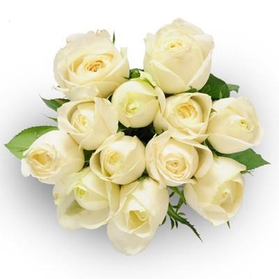 Pure White Roses – CityFlowers